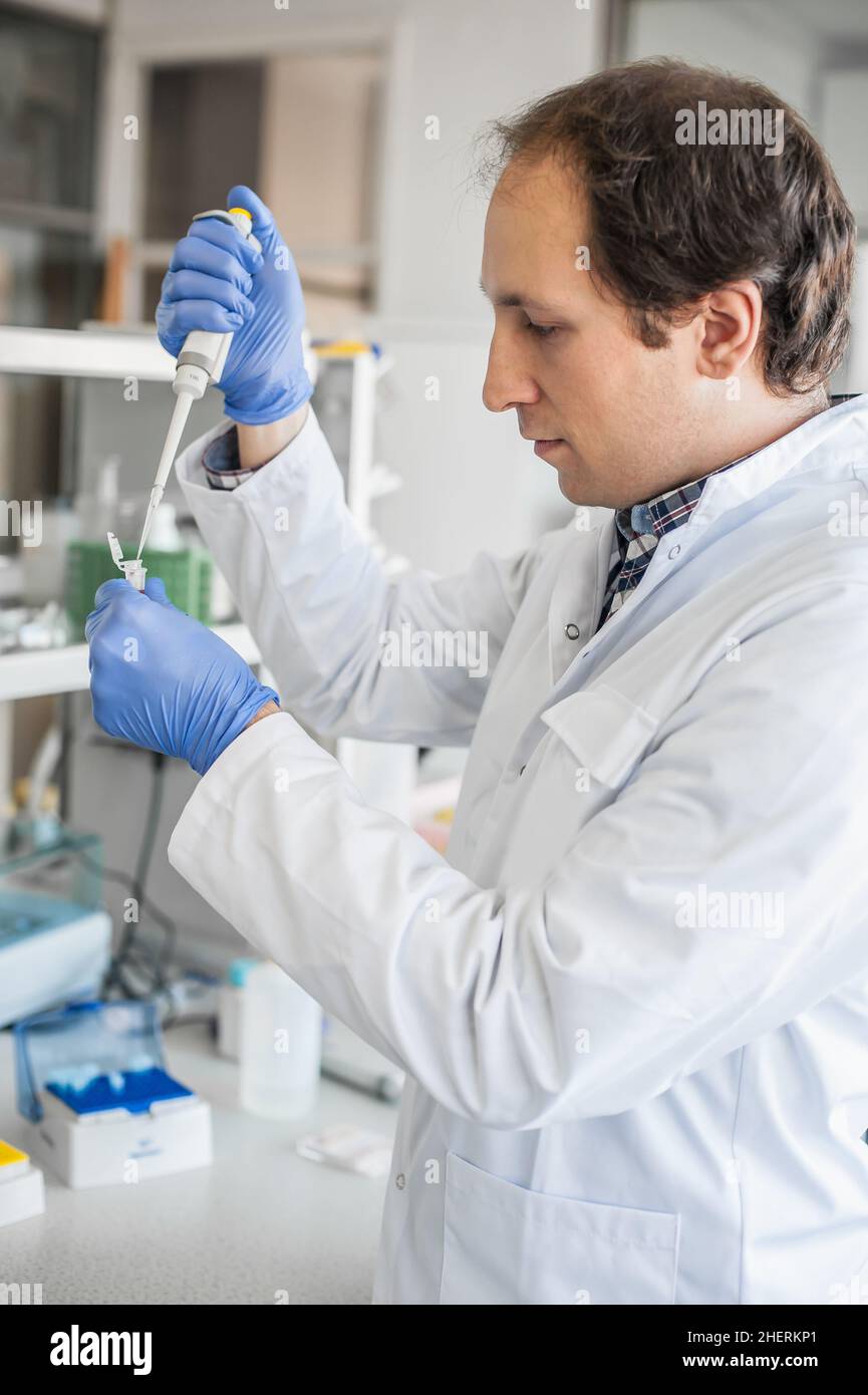 Male scientist in the medical laboratory filling test tubes with ...