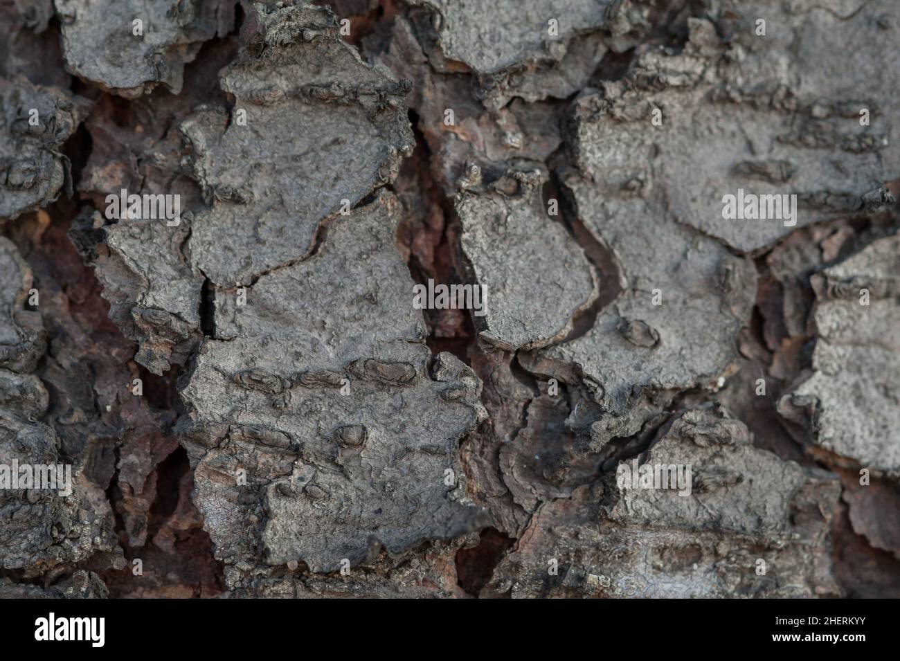 Art, abstract and artistic background pattern macro lens magnification ...