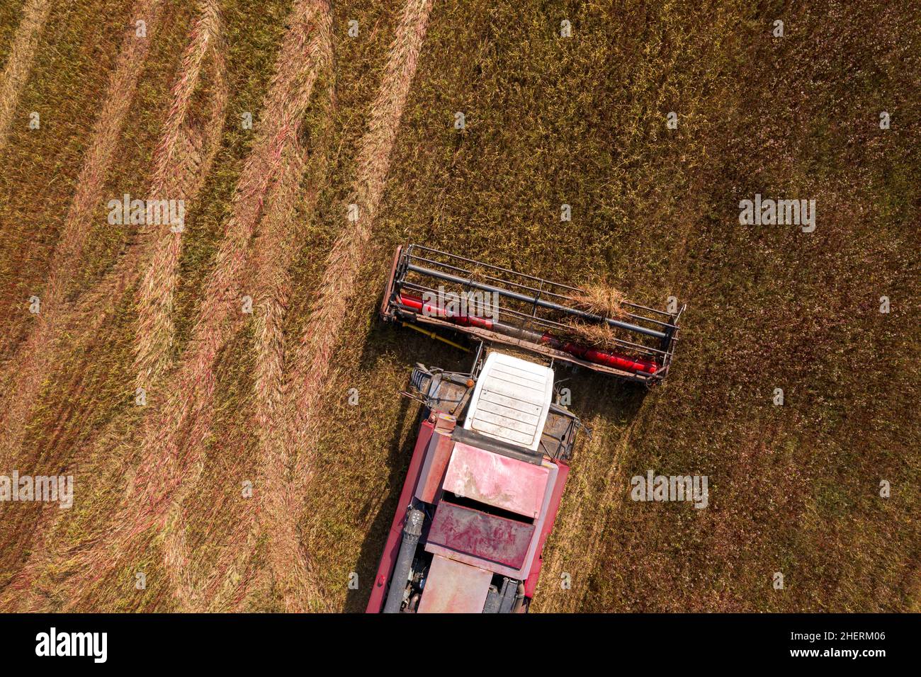 Buckwheat field aerial hi-res stock photography and images - Alamy