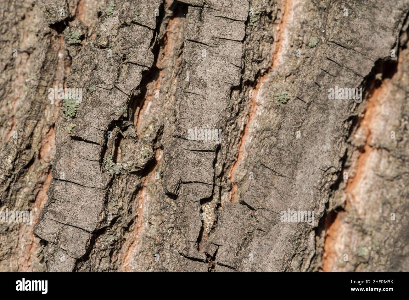 Art, abstract and artistic background pattern macro lens magnification ...