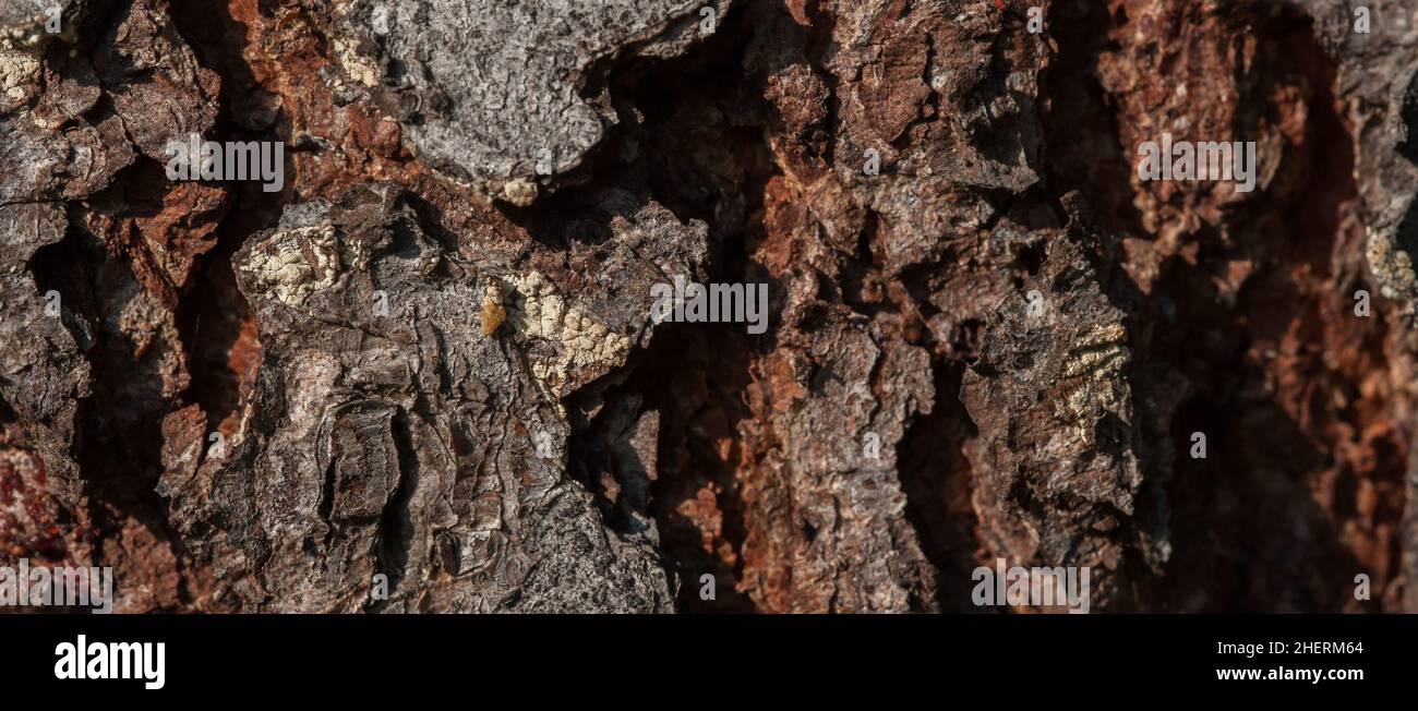 Art, abstract and artistic background pattern macro lens magnification ...