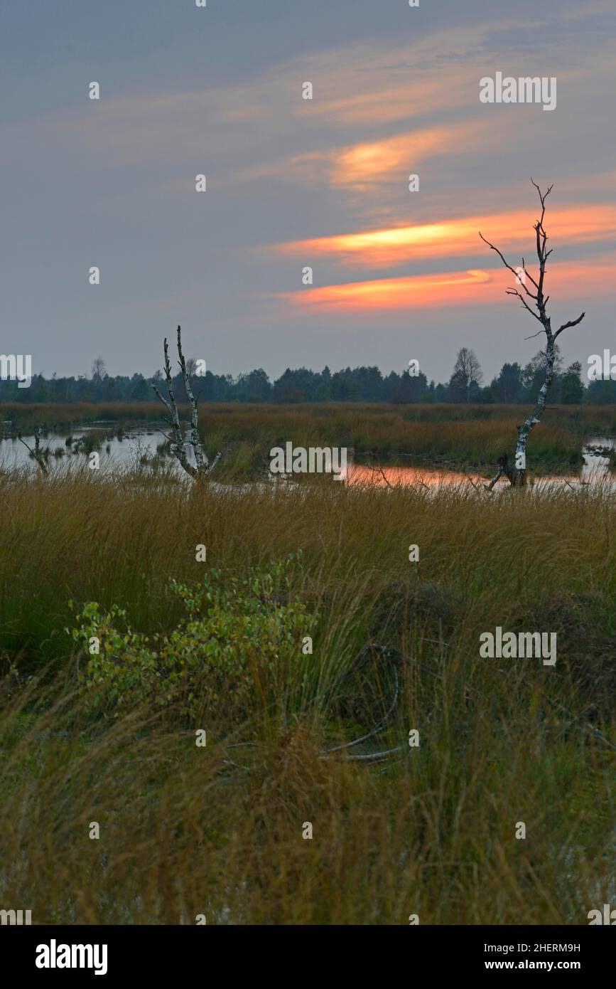 Landscape moorland hi-res stock photography and images - Alamy