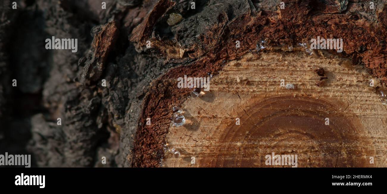 Art, abstract and artistic background pattern macro lens magnification ...