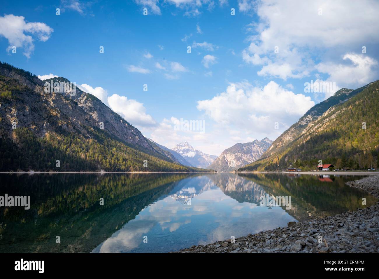 wonderful landscape of lake plansee with reflections of trees and alps ...