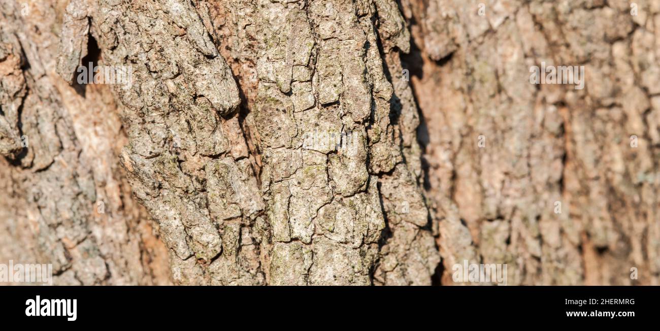 Art, abstract and artistic background pattern macro lens magnification ...