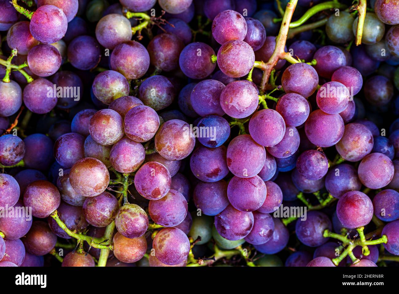 Sweet grapes hi-res stock photography and images - Alamy