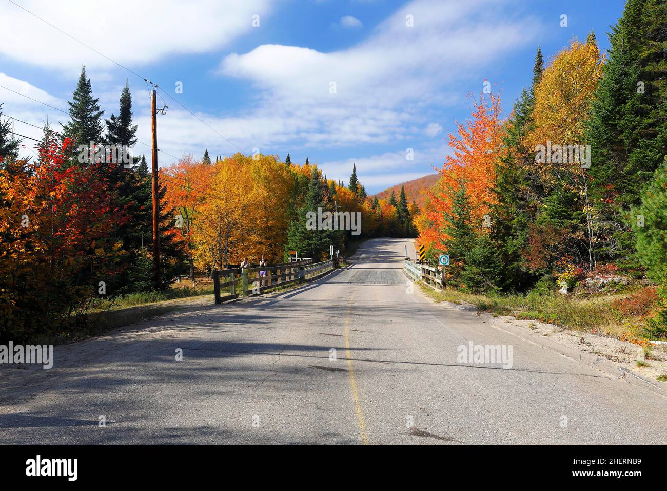Road in a forest, Autumn colours, National Park Mont Tremblant ...