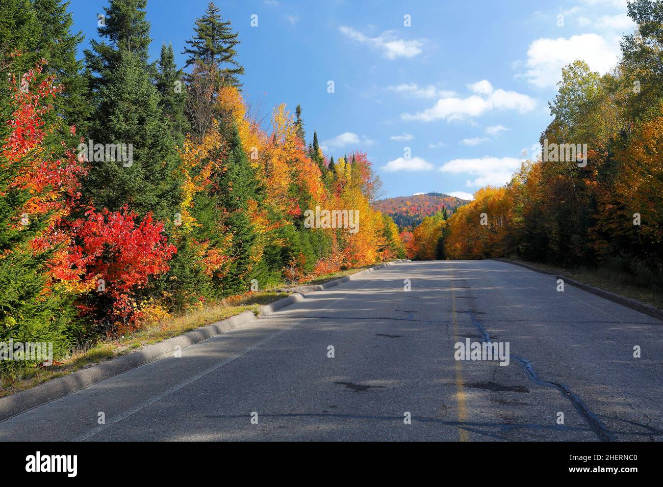 Road in a forest, Autumn colours, National Park Mont Tremblant ...
