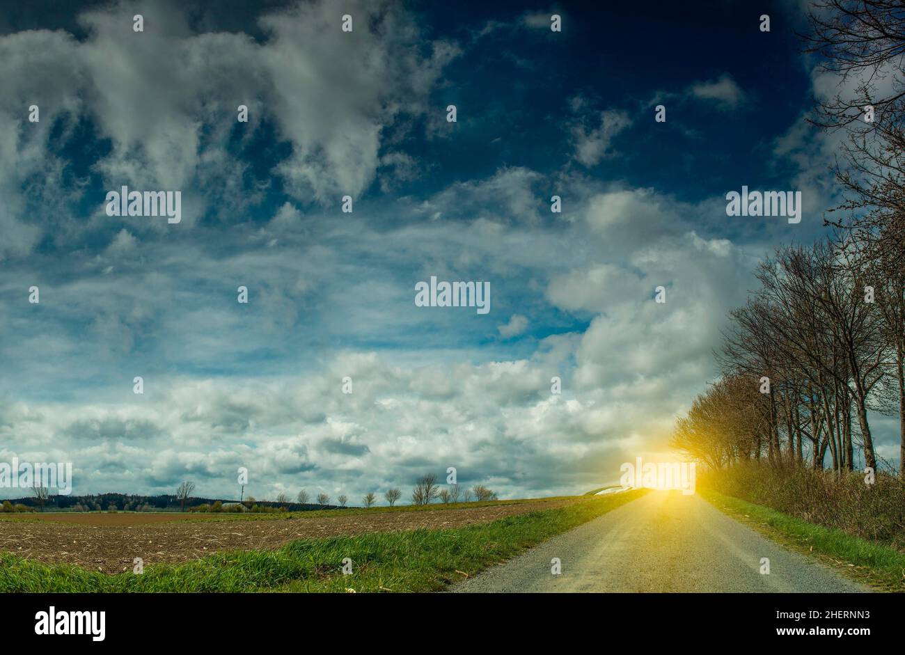 A road surrounded by trees with sky and clouds, road in the field with ...