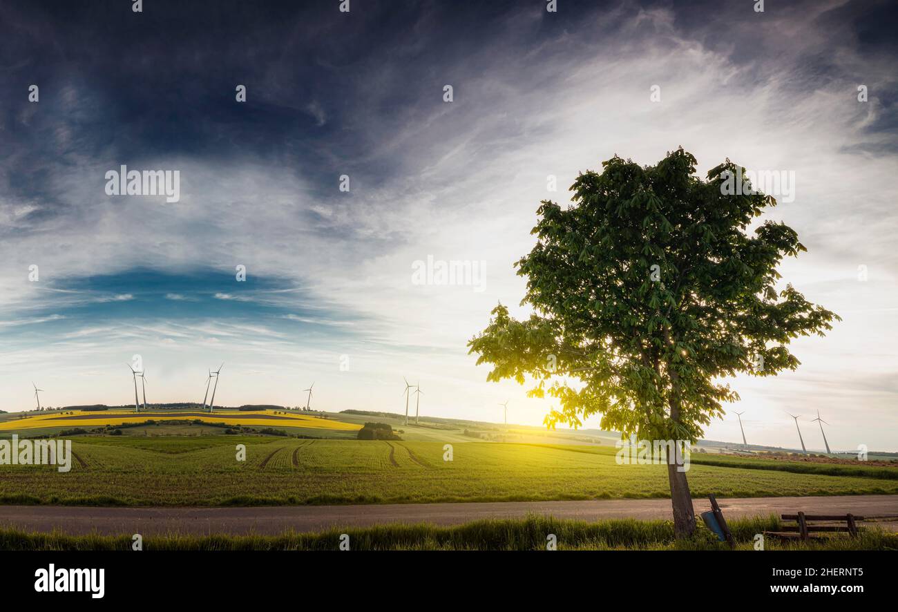 Windmill in the field, five windmill with solar plants, renewable ...