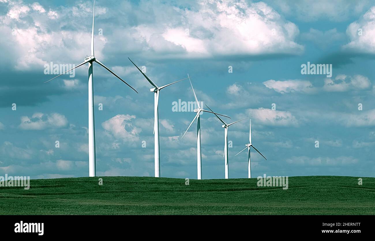 Windmill in the field, five windmill with solar plants, renewable ...