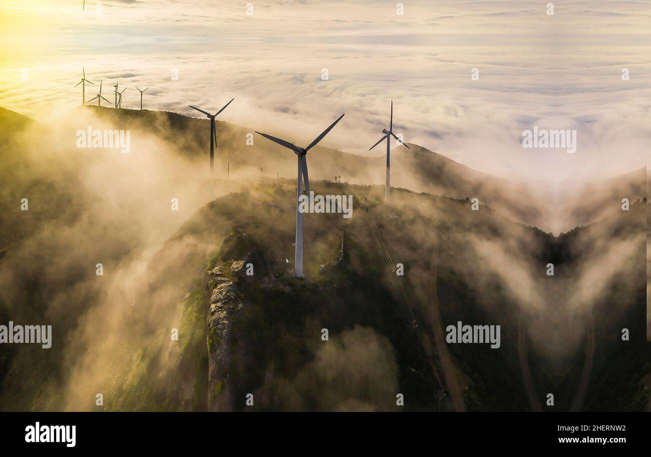 Windmill in the field, windmill with solar plants, renewable resources ...