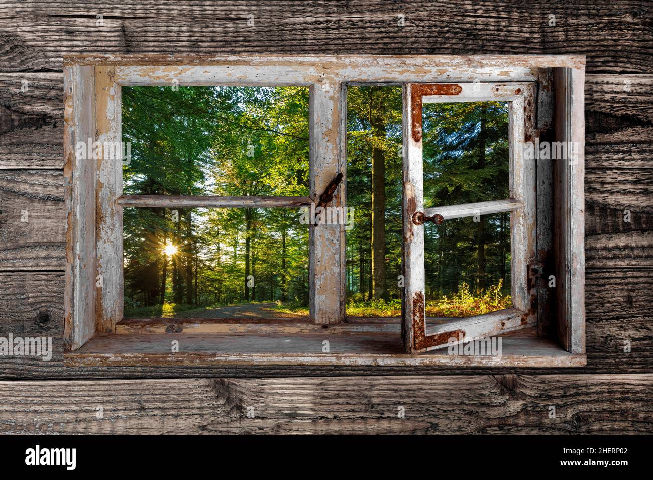 View through a rustic wooden window into the forest, Black Forest ...
