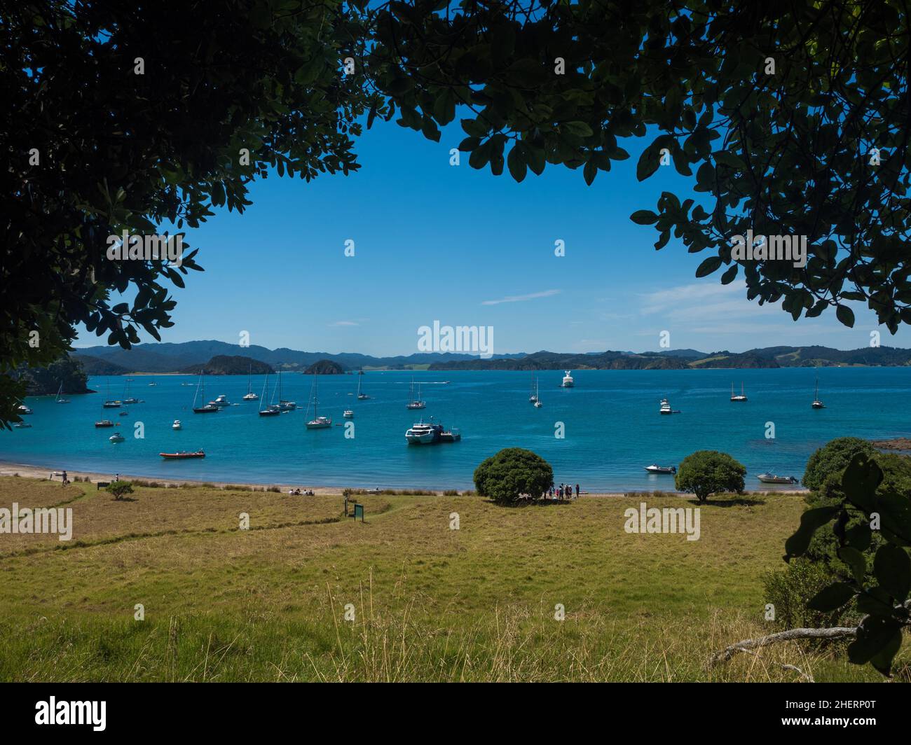 Anchor island new zealand hi-res stock photography and images - Alamy