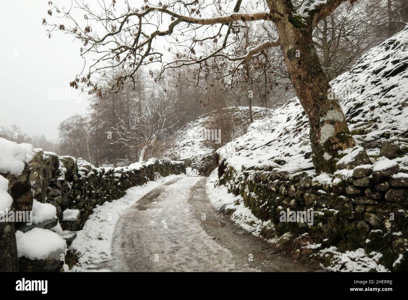 Winter Lane in Little Langdale, the English Lake District Stock Photo ...