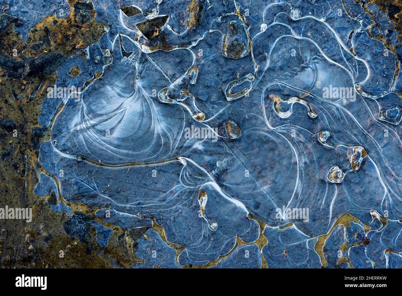 Ice structure in a frozen puddle of water hi-res stock photography and ...