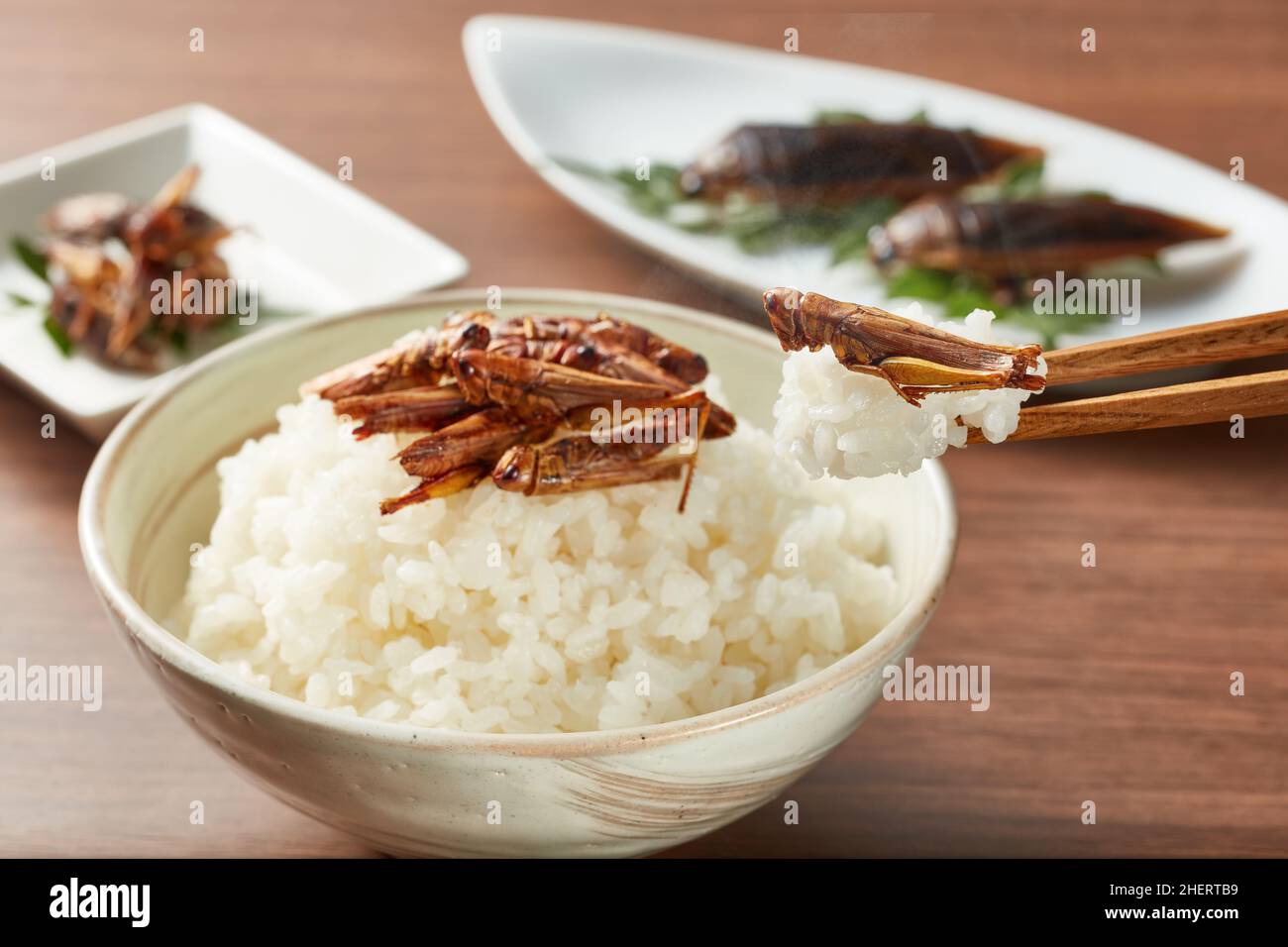 Edible locusts hi-res stock photography and images - Alamy