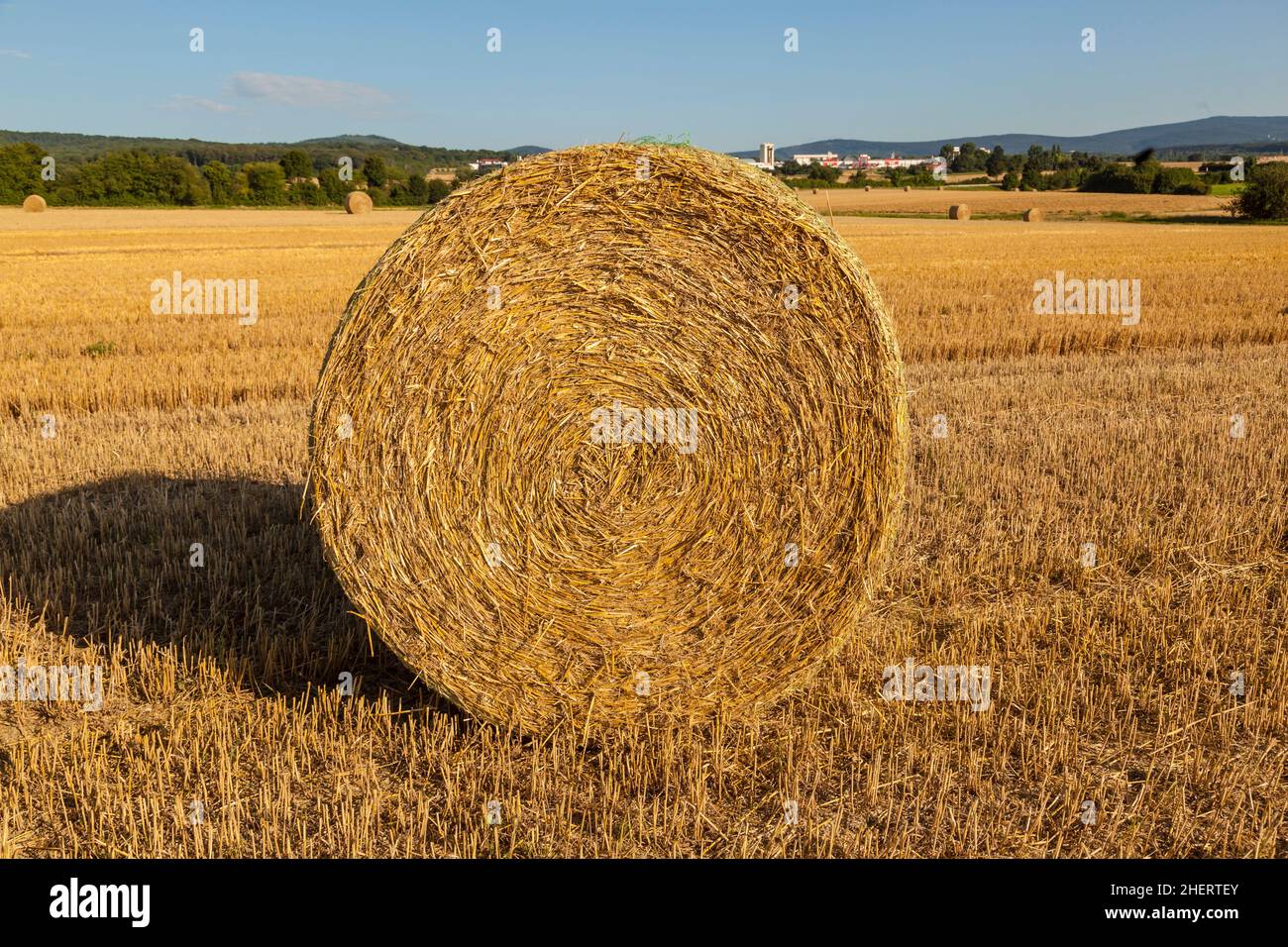 Stacked round hay bales for background Stock Photo - Alamy