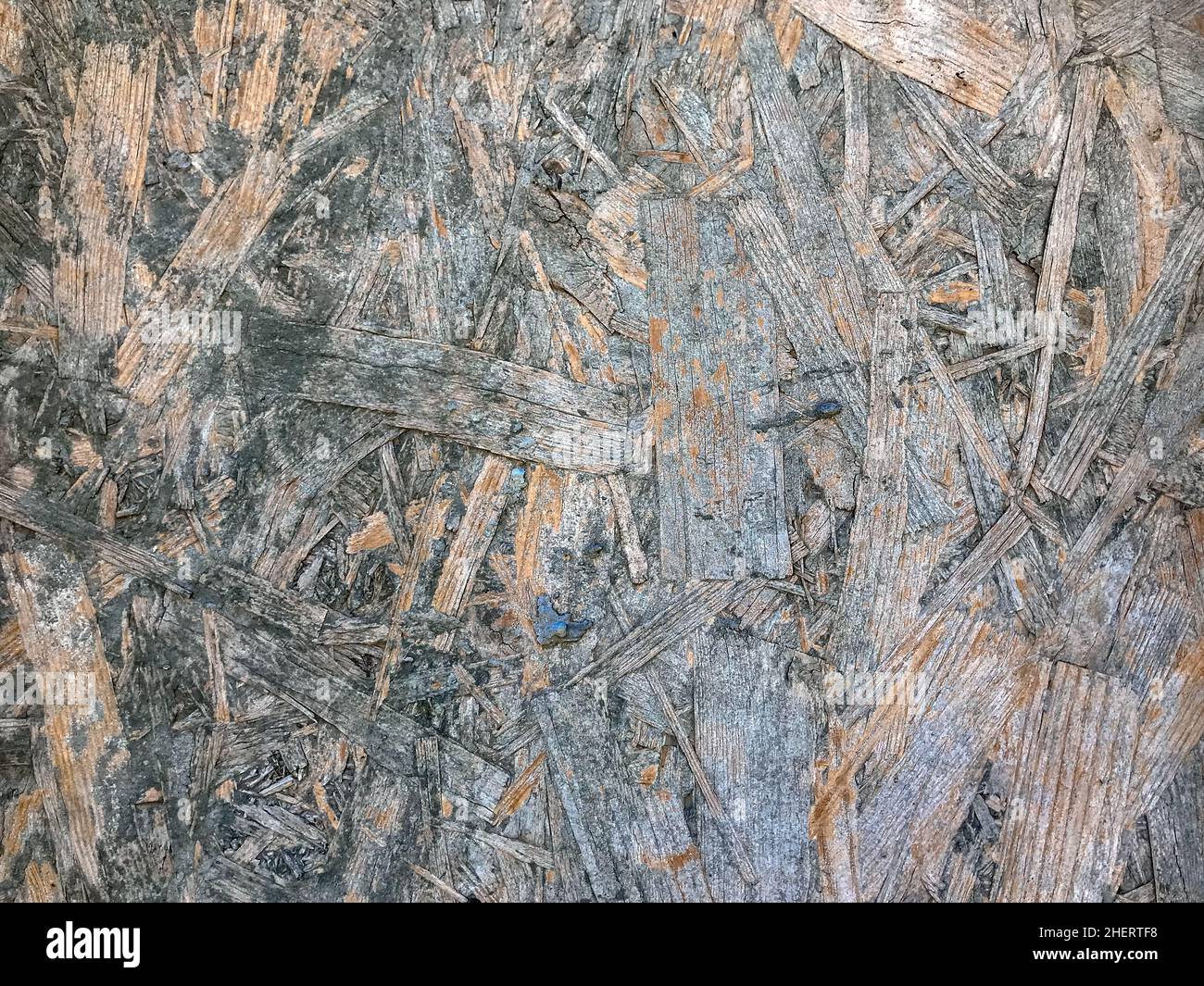 A fragment of building material made of compressed wooden shavings of ...