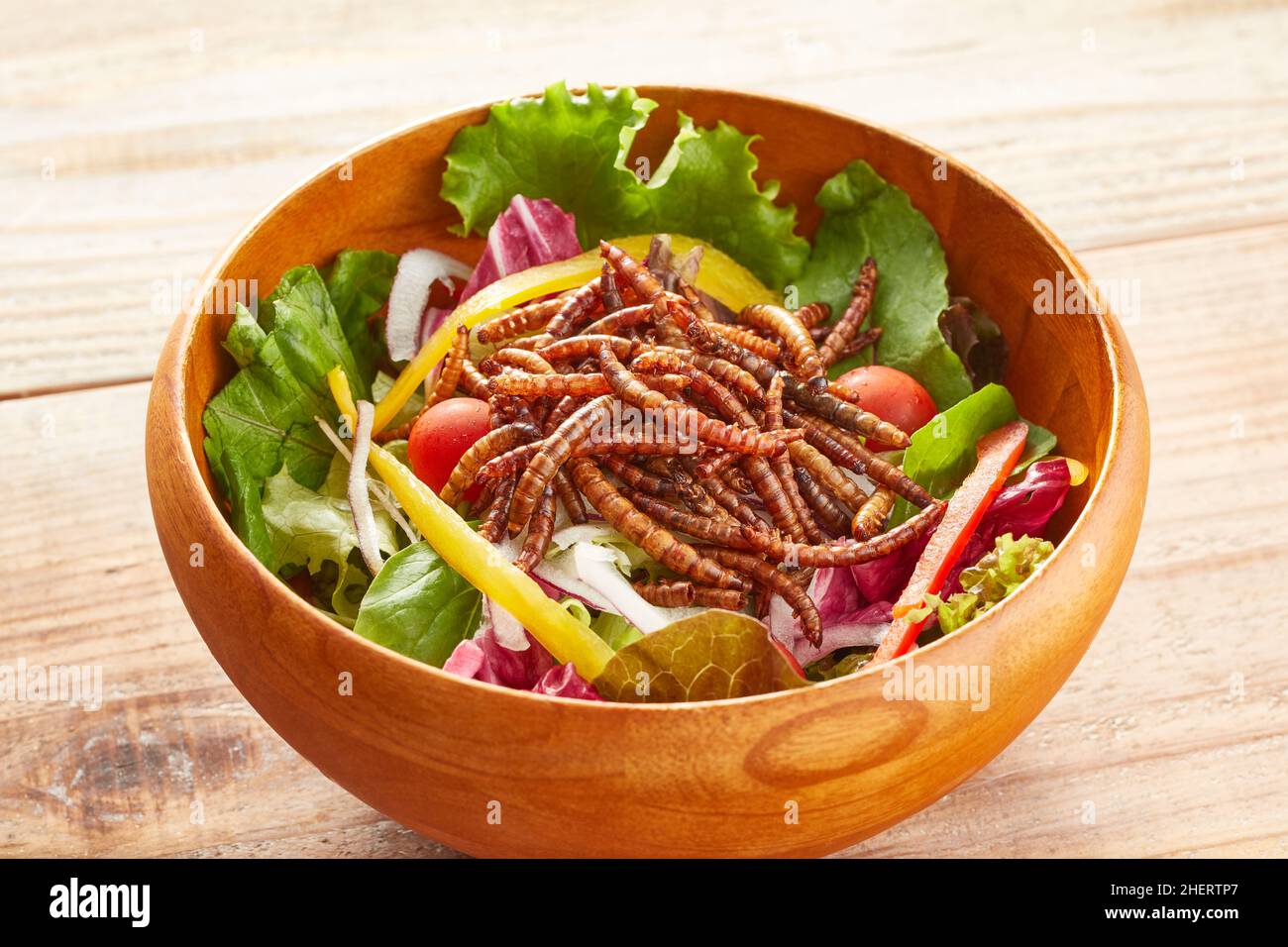 Superworm hi-res stock photography and images - Alamy