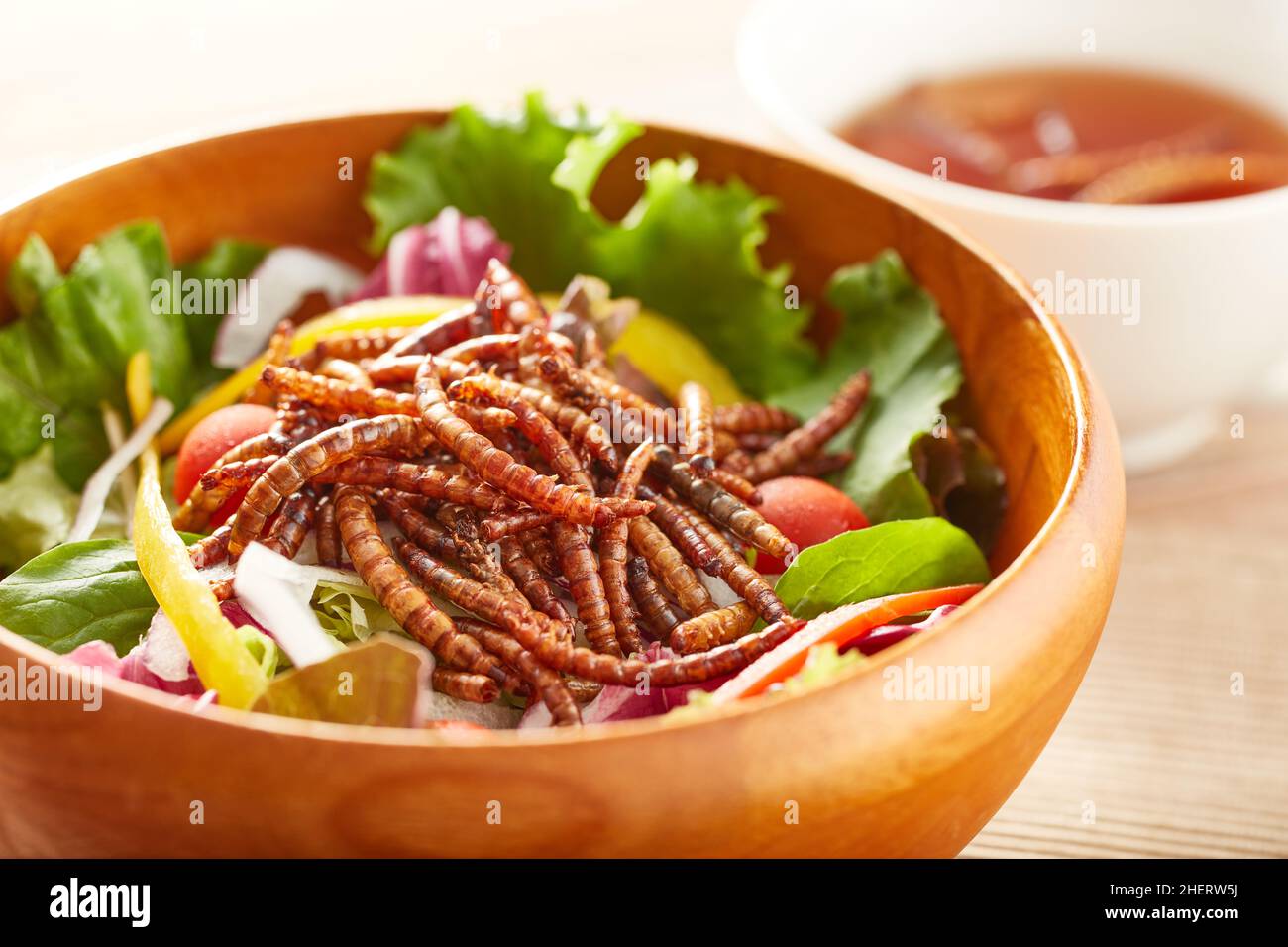 Superworm hi-res stock photography and images - Alamy