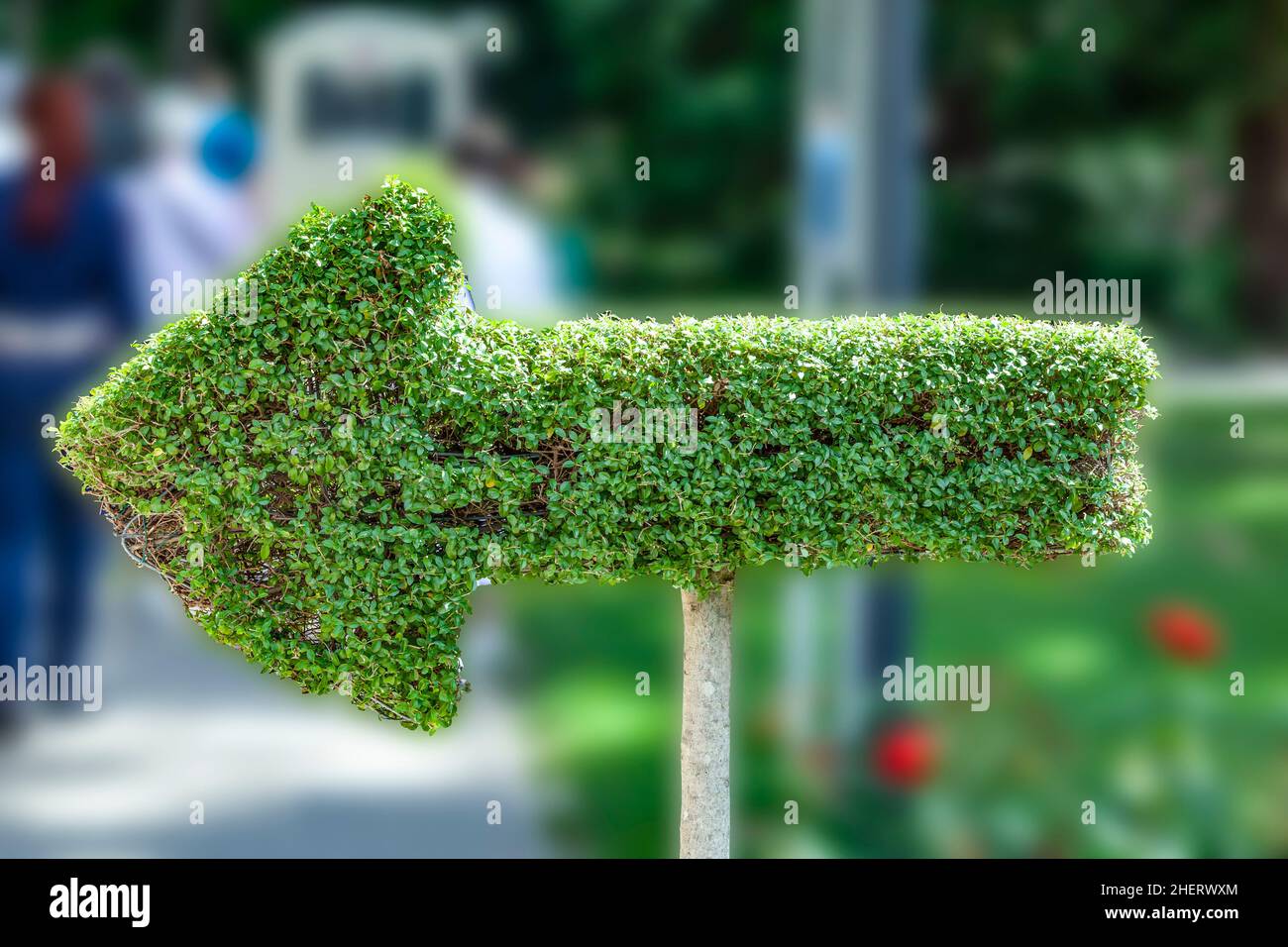 Green arrow made growing hi-res stock photography and images - Alamy