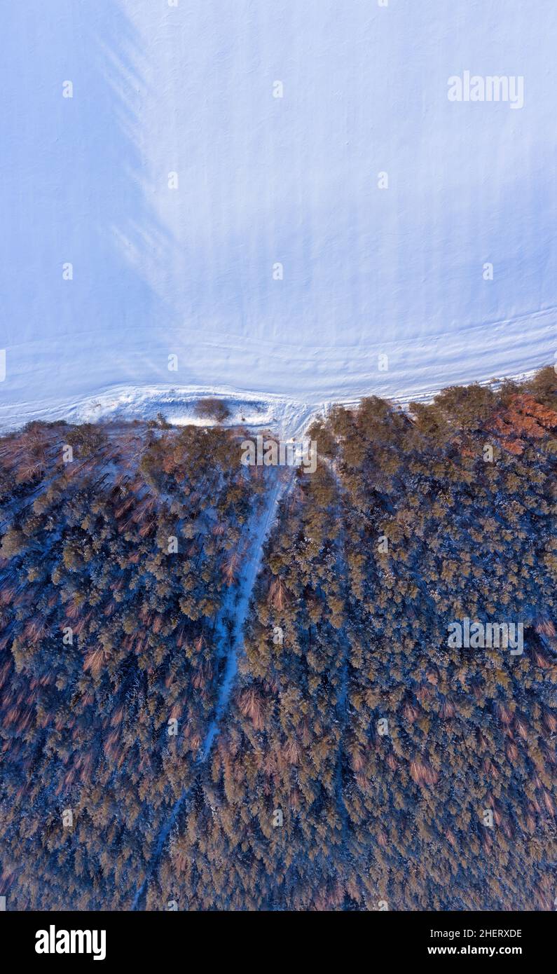 Aerial winter landscape. Snowy frost covered forest and field with ...