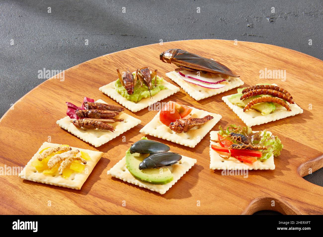 Superworm hi-res stock photography and images - Alamy