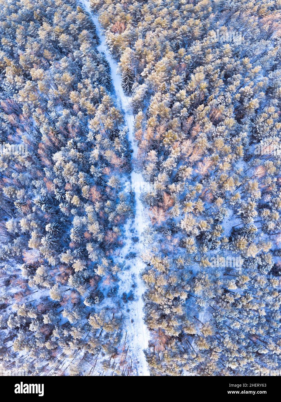 Above view through snow hi-res stock photography and images - Alamy