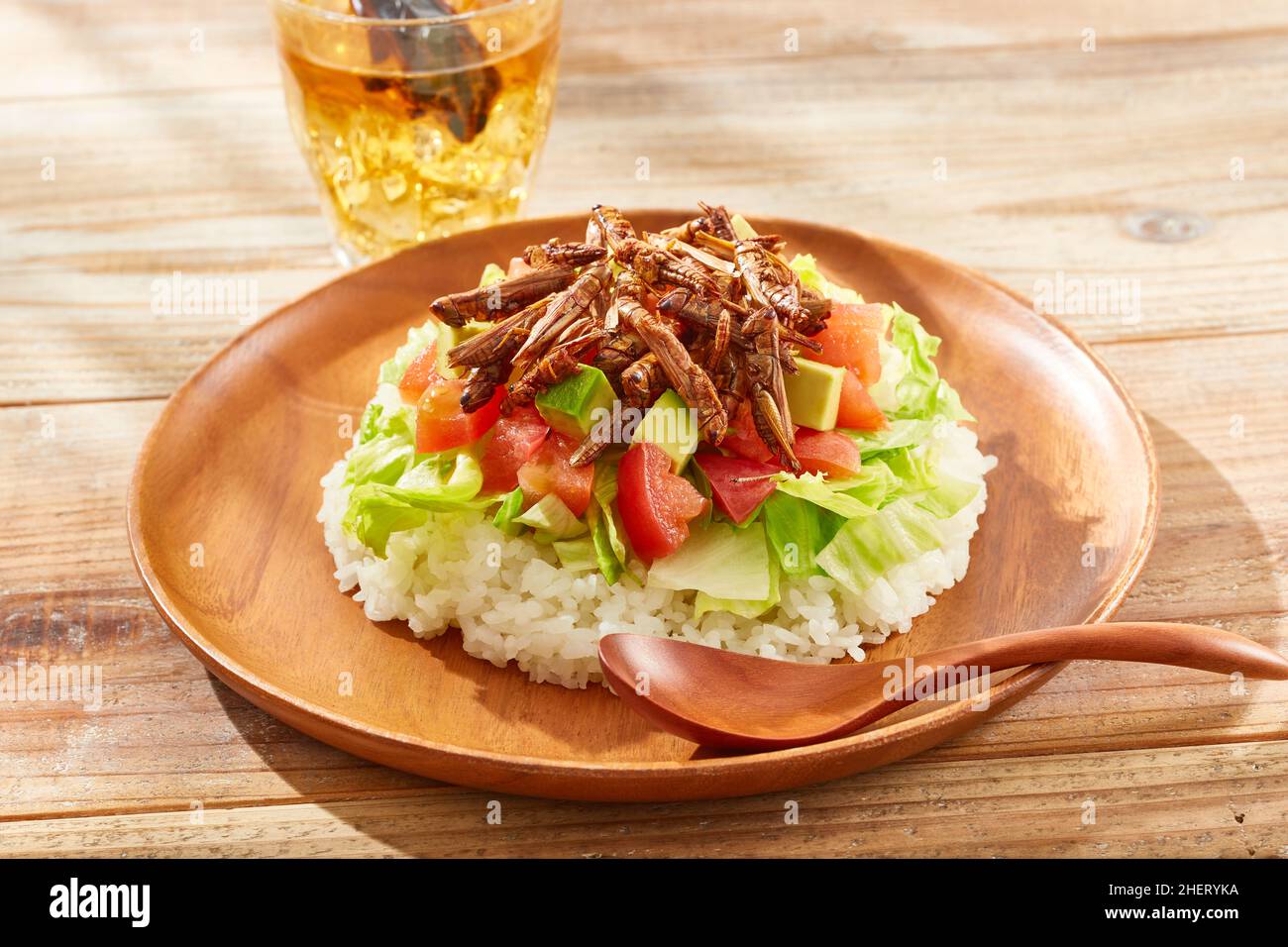 Edible locusts hi-res stock photography and images - Alamy