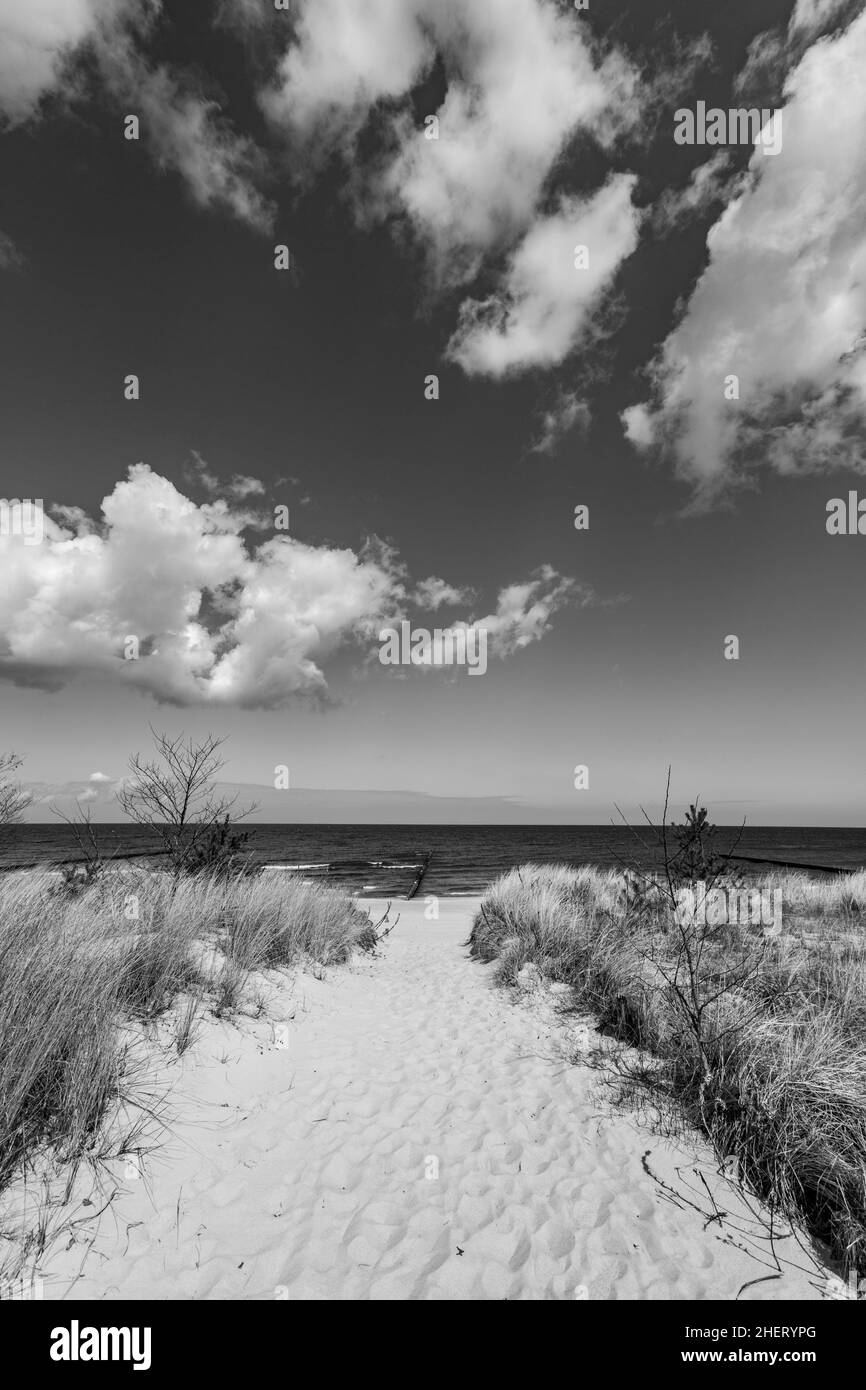 Levee Black and White Stock Photos & Images - Alamy