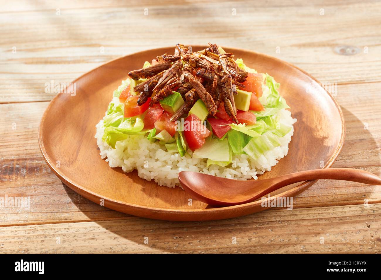 Edible locusts hi-res stock photography and images - Alamy