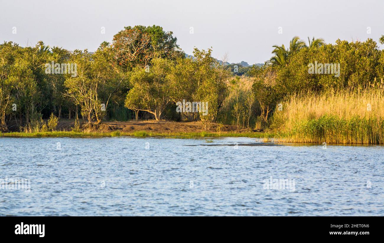 Lake St. Lucia, iSimangaliso Wetland Park, South Africa Stock Photo - Alamy