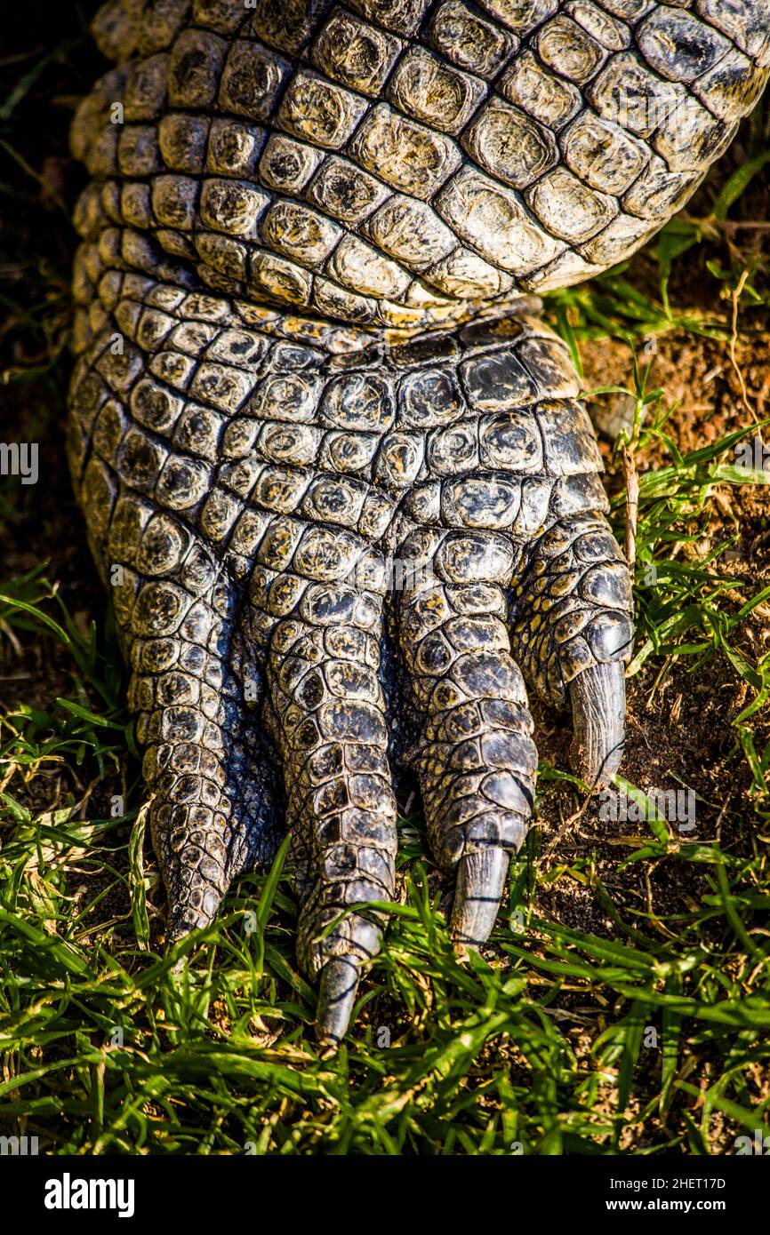 Farm africa hi-res stock photography and images - Alamy