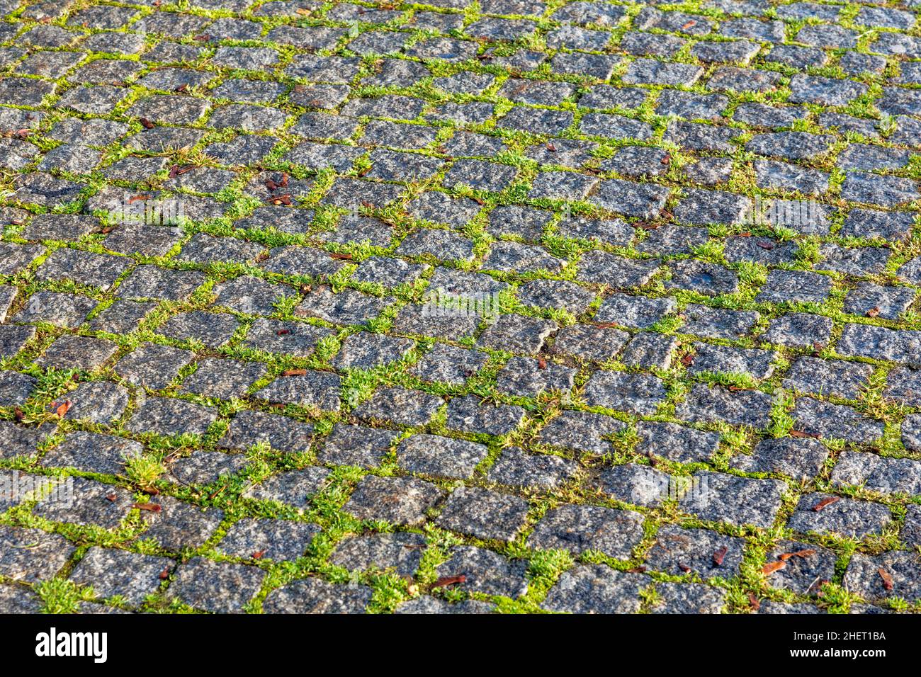 harmonic pattern of cobble stones with moss Stock Photo - Alamy