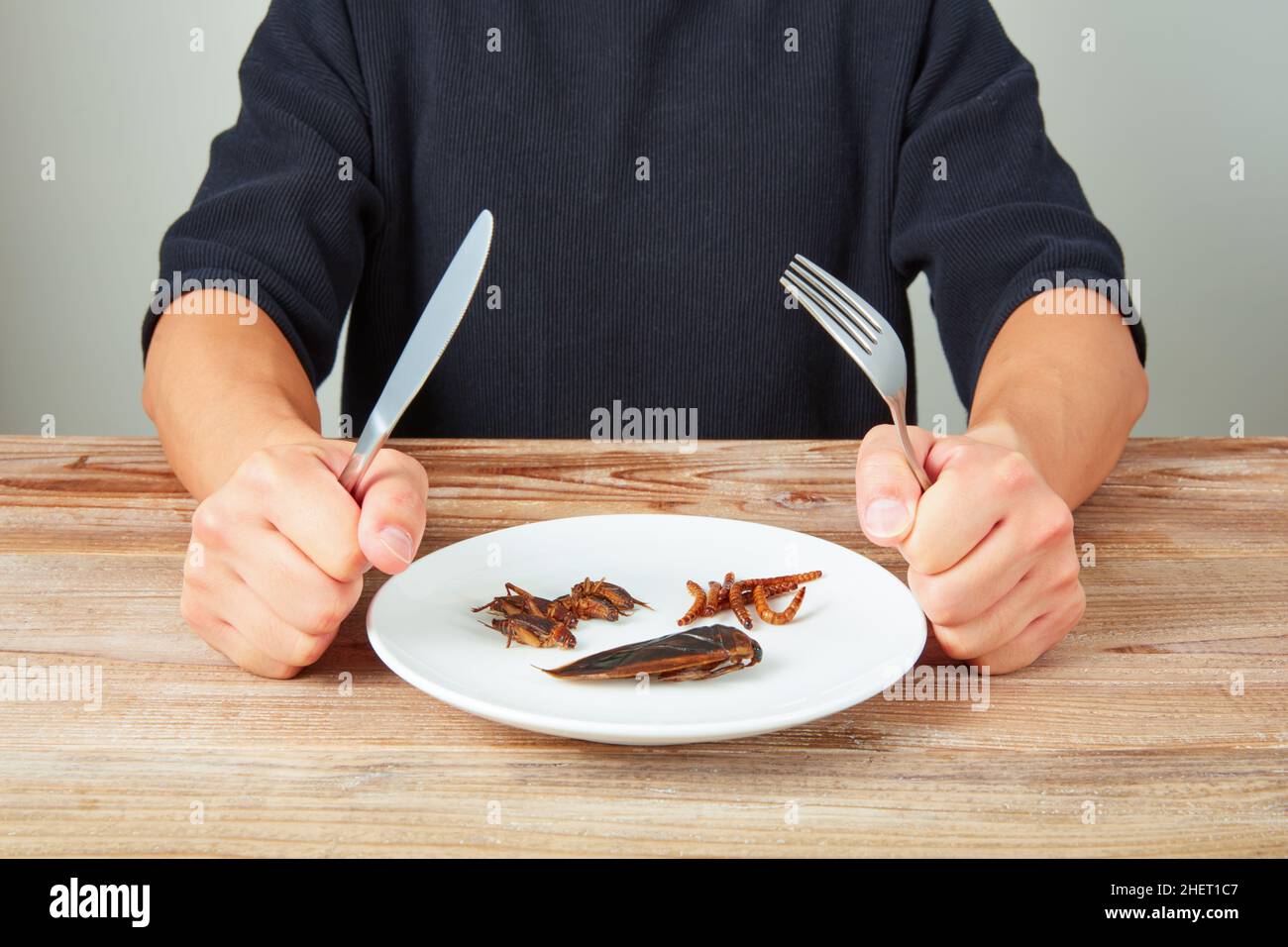 Lethocerus deyrollei hi-res stock photography and images - Alamy