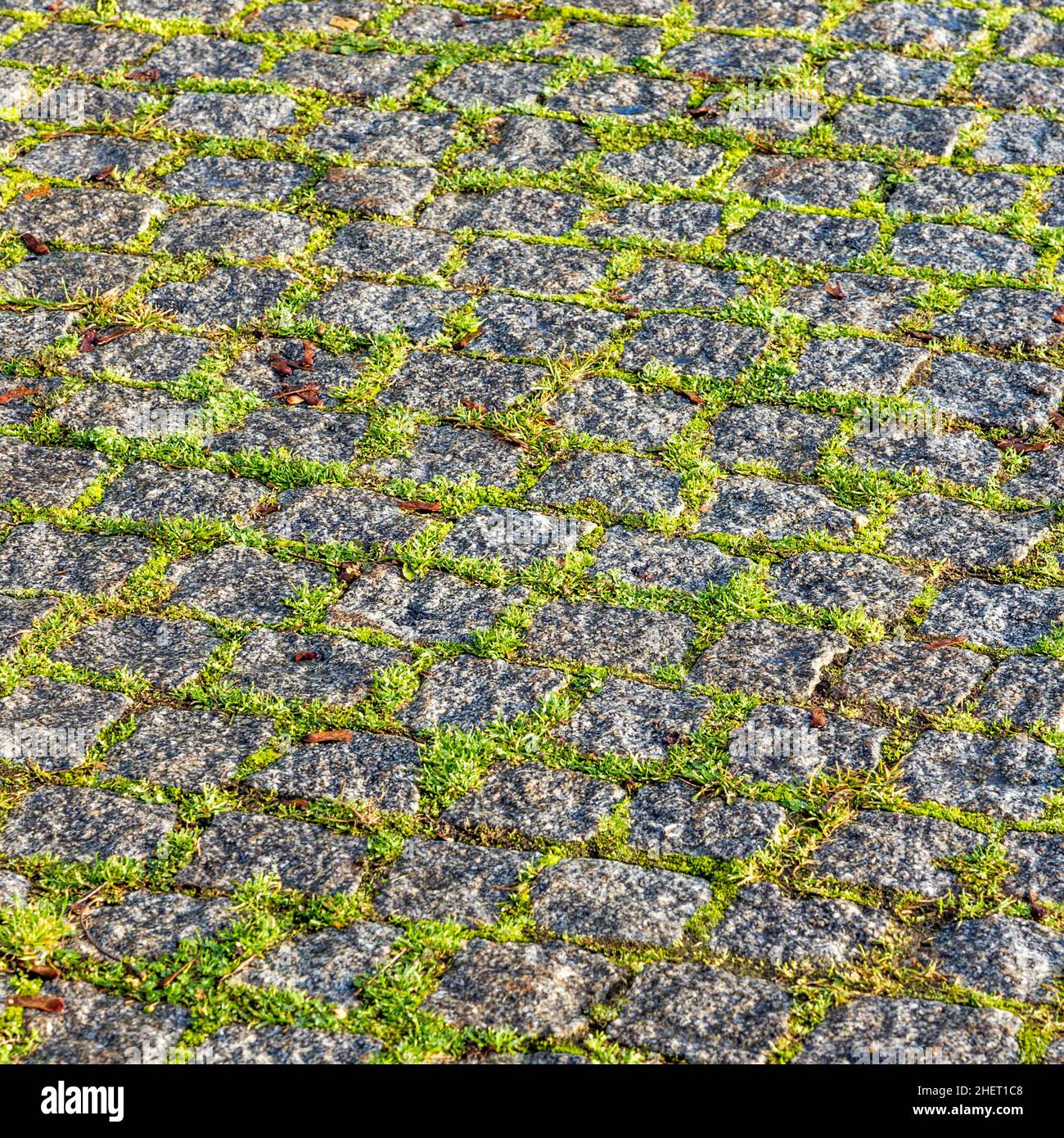harmonic pattern of cobble stones with moss Stock Photo - Alamy