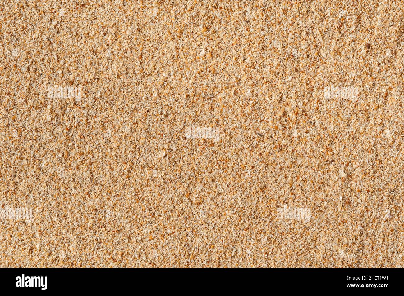 Sand texture. Sandy beach for background. Top view. Macro photography ...