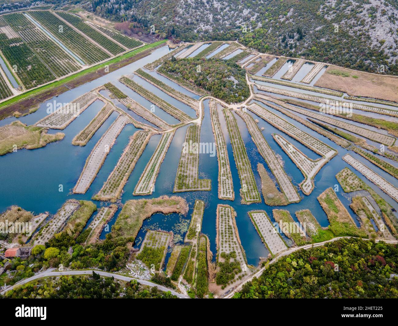 Aerial top down green wheat hi-res stock photography and images - Alamy