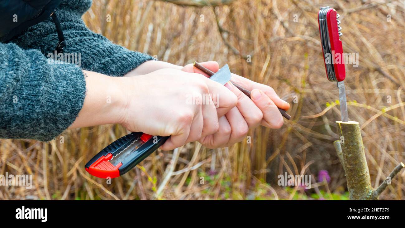 Hand grafted hi-res stock photography and images - Alamy