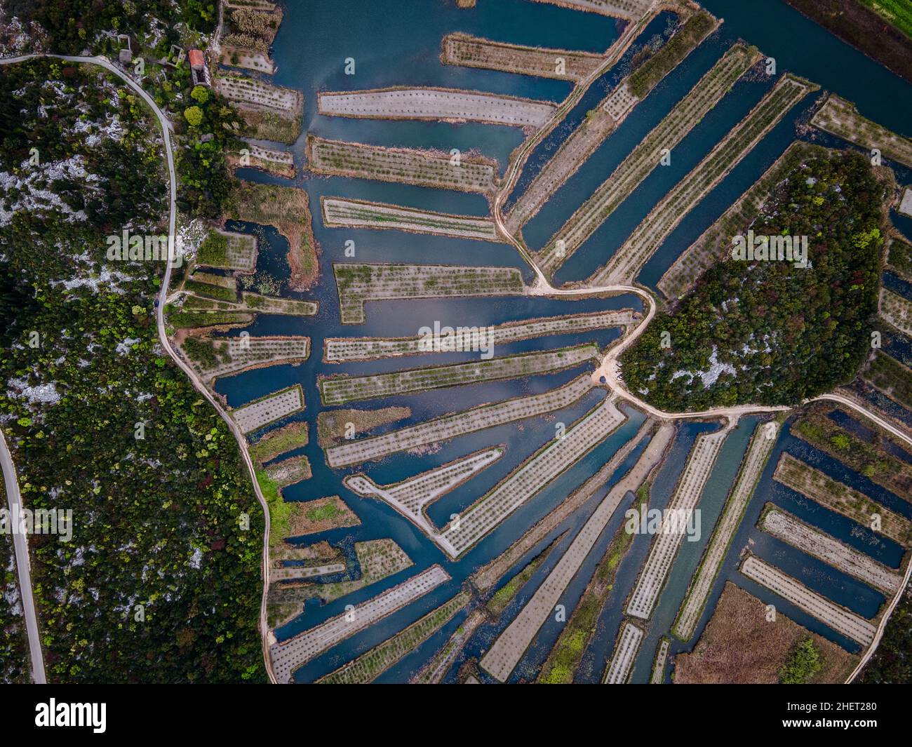 Aerial top down green wheat hi-res stock photography and images - Alamy