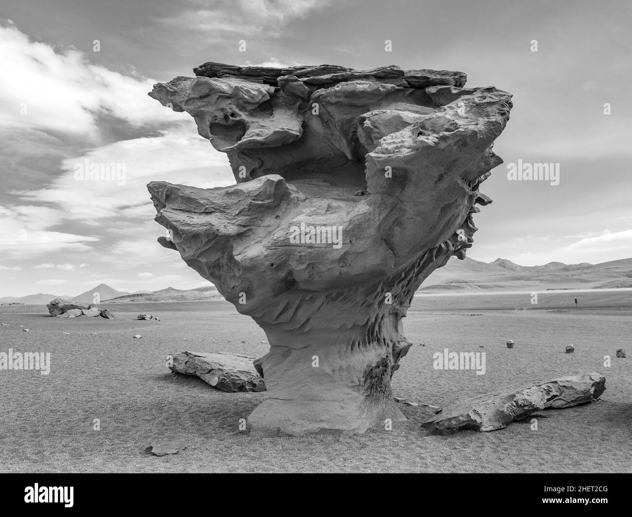 The 'Arbol de Piedra' (stone tree) is an isolated rock formation in ...
