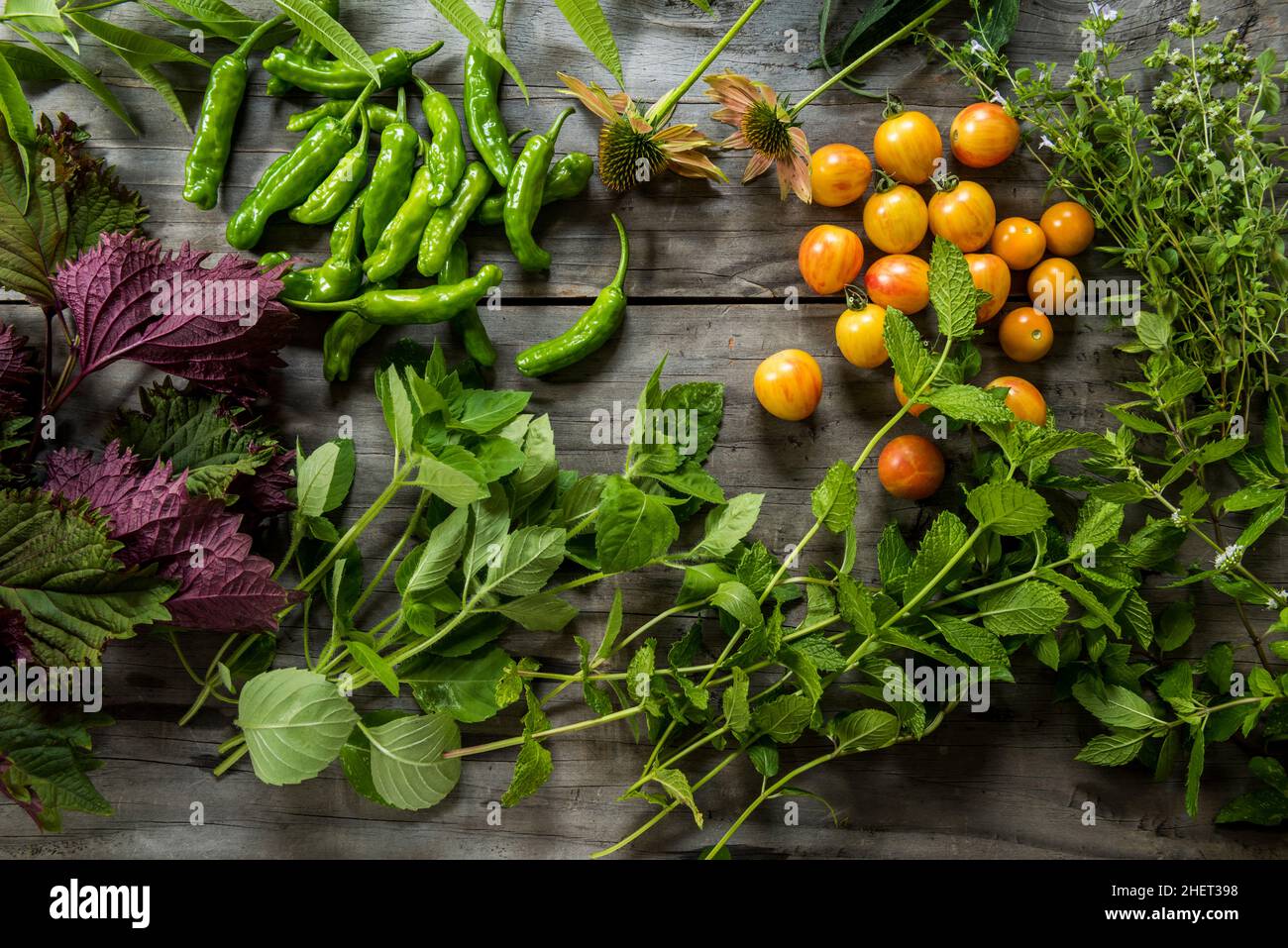 Table of herbs hi-res stock photography and images - Alamy