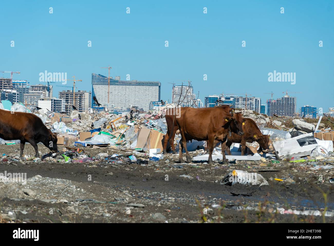 Garbage dump batumi city on hi-res stock photography and images - Alamy