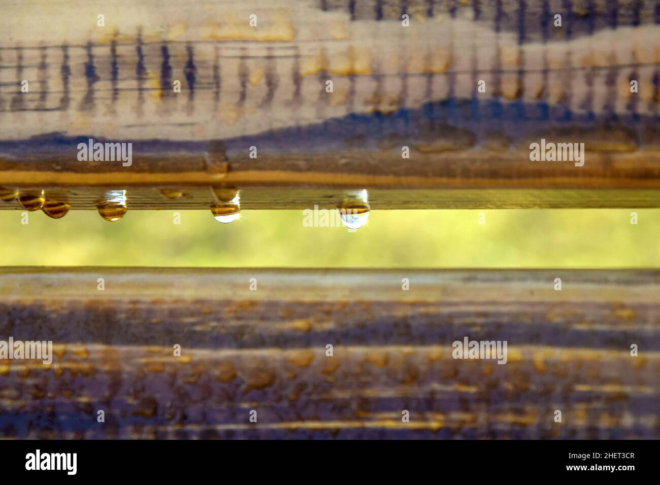 Water drops hang from wooden back of park bench after rain. Natural ...