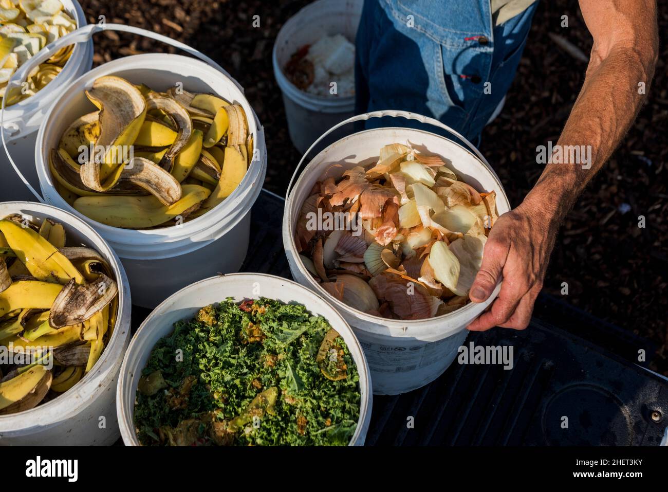 Food waste from local restaurants being repurposed as chicken feed for ...