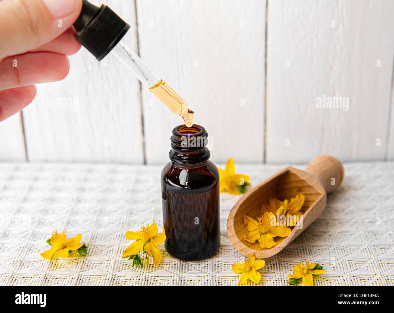 Hypericum perforatum known as perforate St John's-wort tincture or oil ...