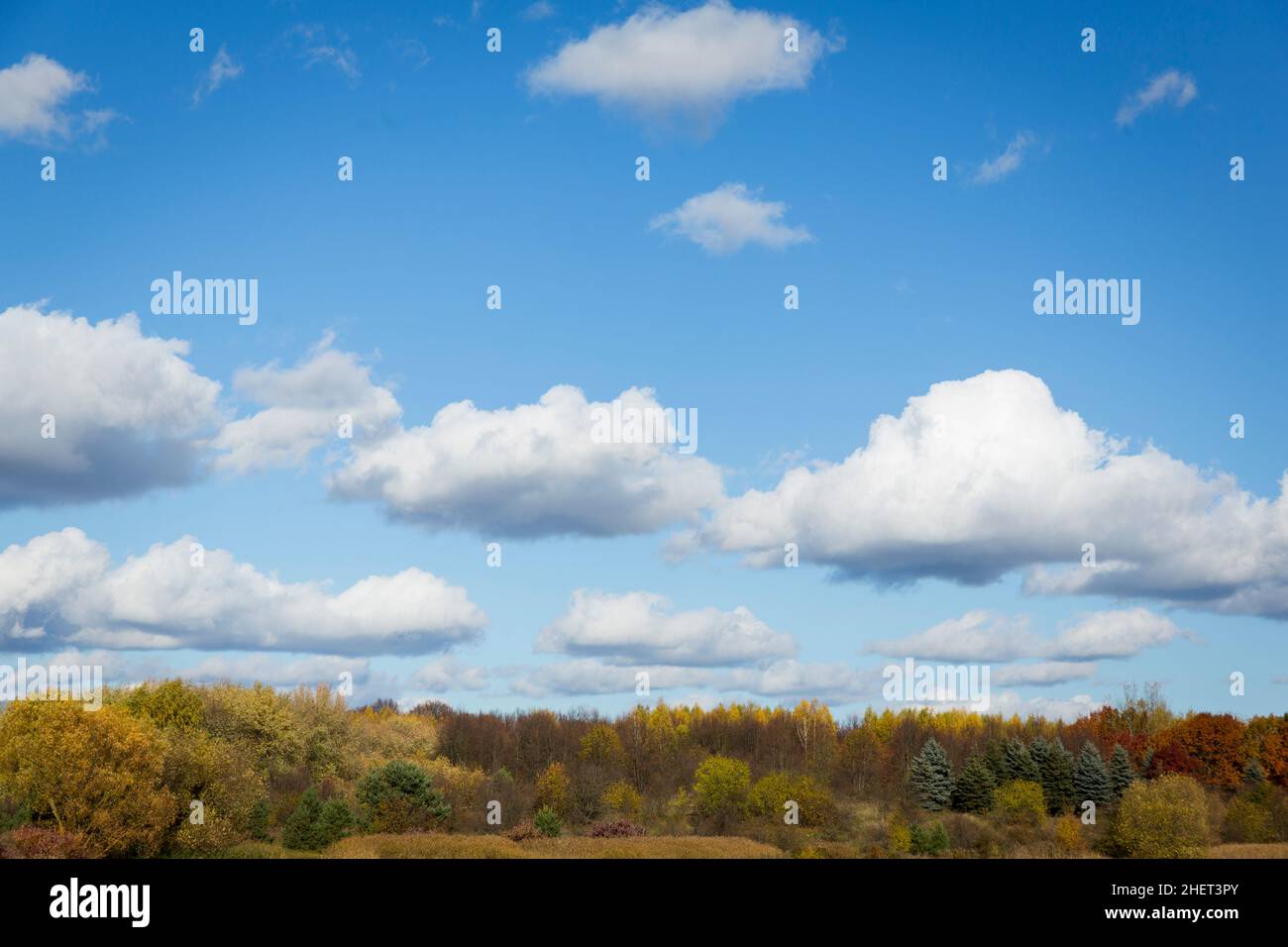 Autumn forest behind the lake. Sky with sun and white clouds. Red-green ...