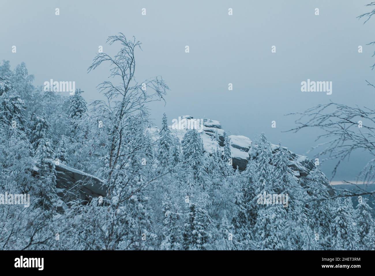 Coniferous forest on white rock hi-res stock photography and images - Alamy
