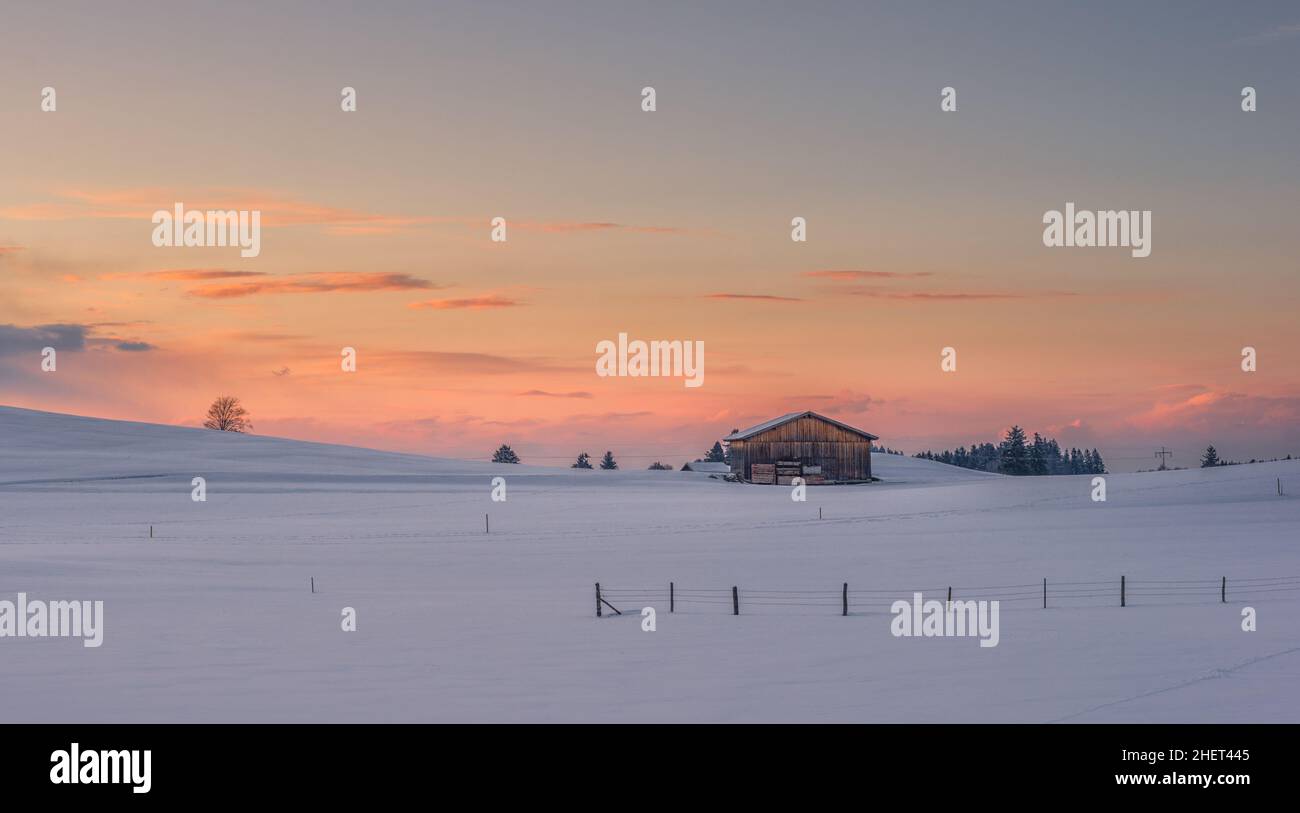 Tree top hut hi-res stock photography and images - Alamy